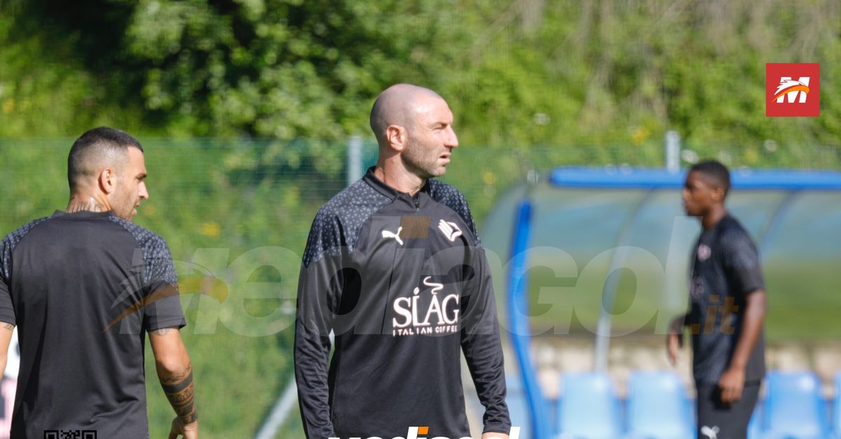 Lucioni: “Palermo ha fatto la storia del calcio. Giocatori che hanno ...