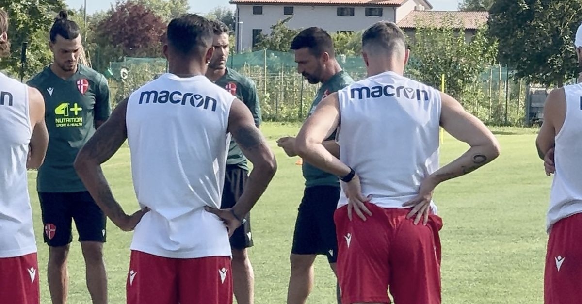 Padova, si avvicina il ritorno in campo. Ecco come giocherebbe oggi ...