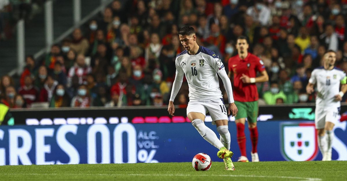 Portogallo-Serbia 1-2: Lukic e Vanja dritti in Qatar. E il mediano fa ...