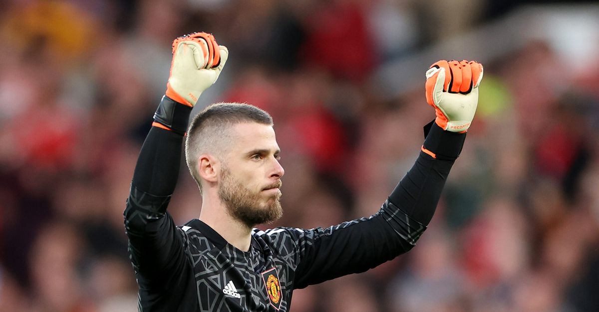 Fiorentina – De Gea si può fare. A breve nuovi contatti - Viola News