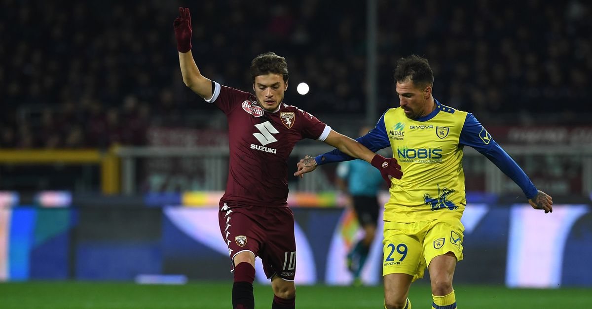 Massimo Massi (Radio Stella): “Il Torino può solo crescere. Belotti ...