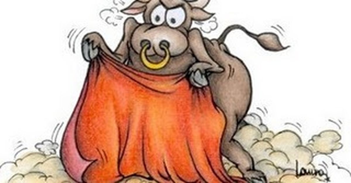 Chi ha spento la luce? - Toro News