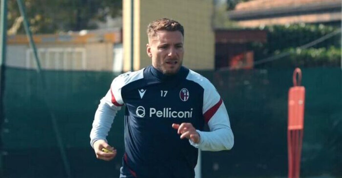 Tutte le novità dai campi: Immobile, Pulisic, Buongiorno, Dodo, Fazzini ...