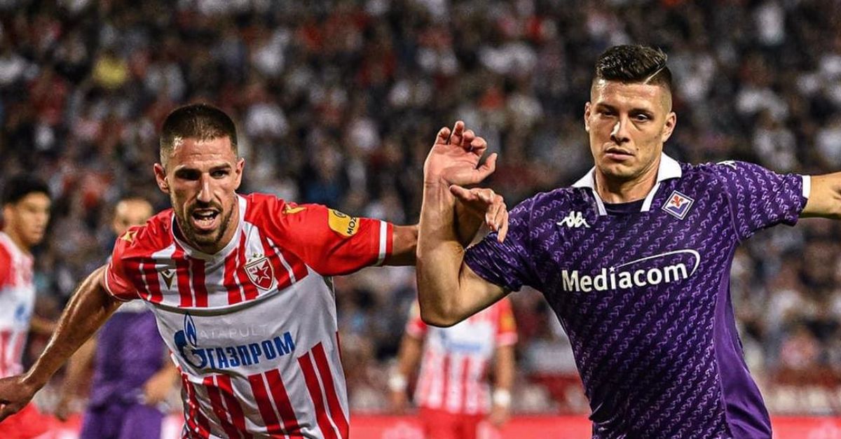 Pancev gongola: “Ma era lo Stella Rossa o un tornado?” - Viola News