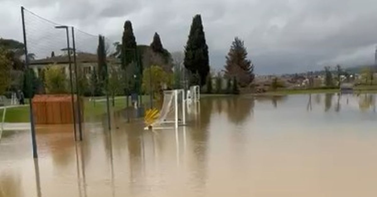 VIDEO – Diluvio anche sul Viola Park. Un campo totalmente allagato ...