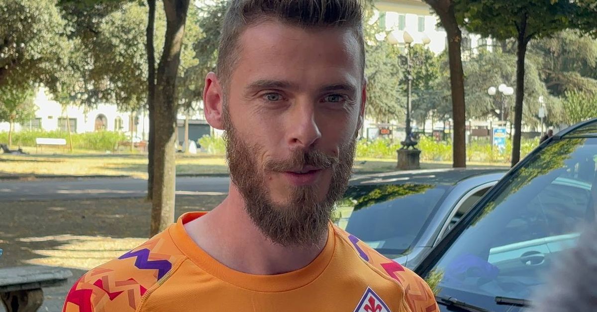 David De Gea - Viola News