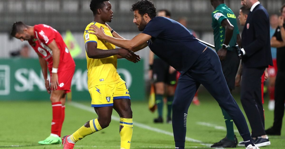 Frosinone, Stirpe: “Grosso, addio garbato. Sostituto? Mi piacerebbe ...