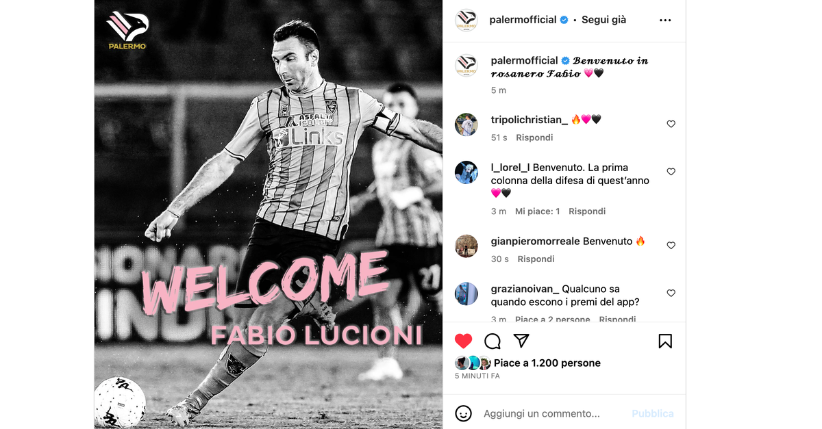CALCIOMERCATO PALERMO, UFFICIALE: FABIO LUCIONI È ROSANERO - Mediagol