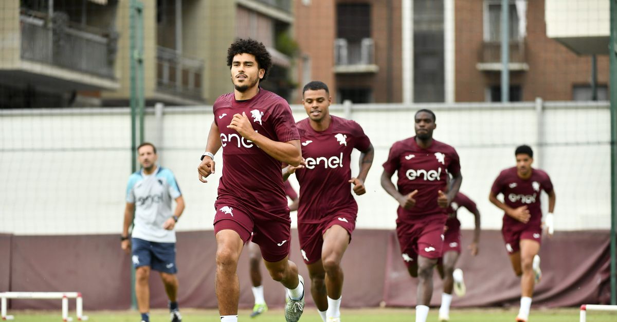 Torino, Aboukhlal è già un rebus: come farlo rendere? Fin qui è stato ...