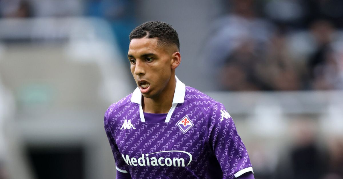 Sandrelli: “La Fiorentina domani dovrà essere intelligente. Punterei su ... Sandrelli: “La Fiorentina domani dovrà essere intelligente. Punterei su ...